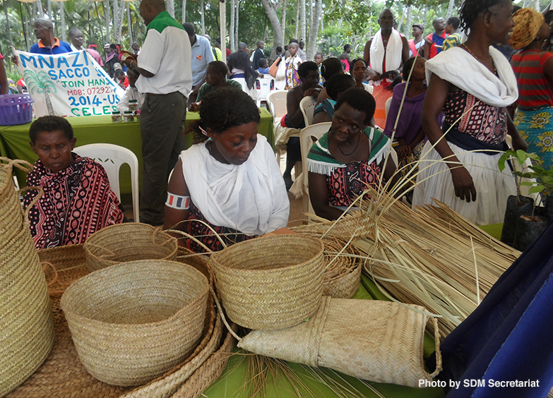 Forest Restoration with Indigenous Knowledge - Mombasa, Kenya ｜ Adaptation Database ｜ Asia ...