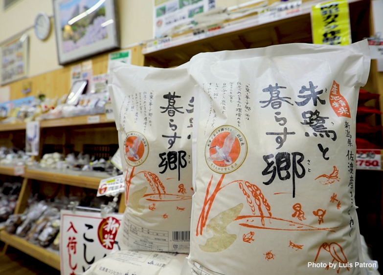 Certifying Environmentally-friendly Farming - Sado, Japan ｜ Adaptation Database ｜ Asia-Pacific ...